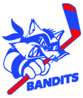 Hockey Classic 2024 - Team Bandits's Page